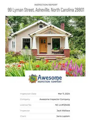 Sample Home Inspection Reports & Sample Custom-Built Websites